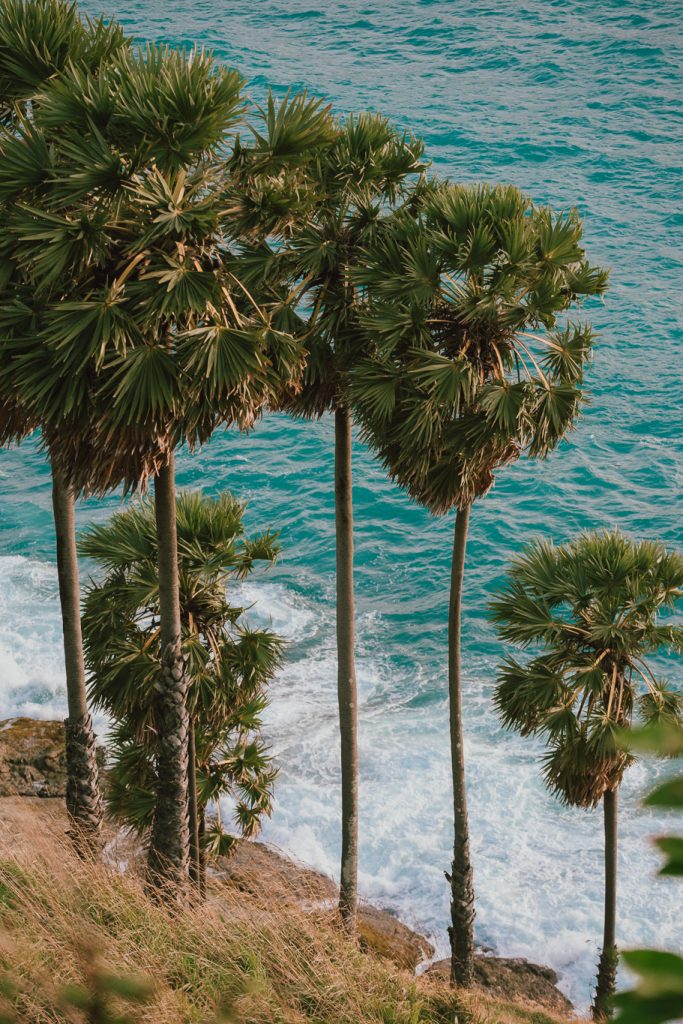 Phuket : Patong Guide 2 Days 1 Night