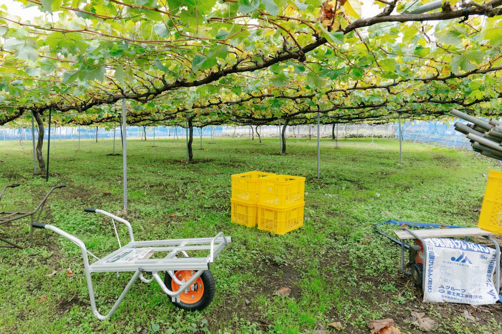 รีวิวญี่ปุ่น :: Chubu Itinerary – Explore Central Japan in 4 Days ...