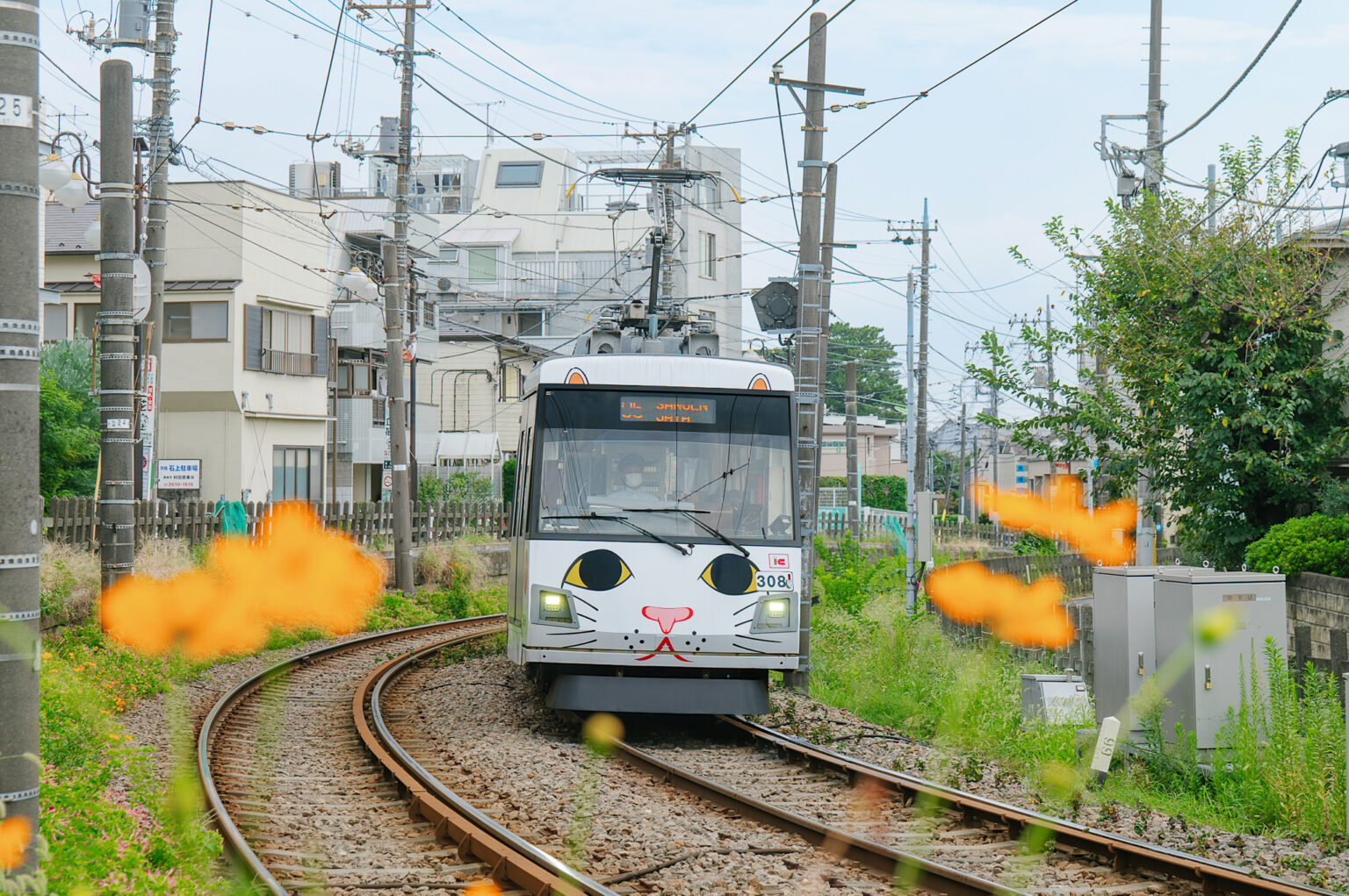 รีวิวญี่ปุ่น : TOKYO ITINERARY: How To Spend 5 KAWAII Days In Tokyo ...