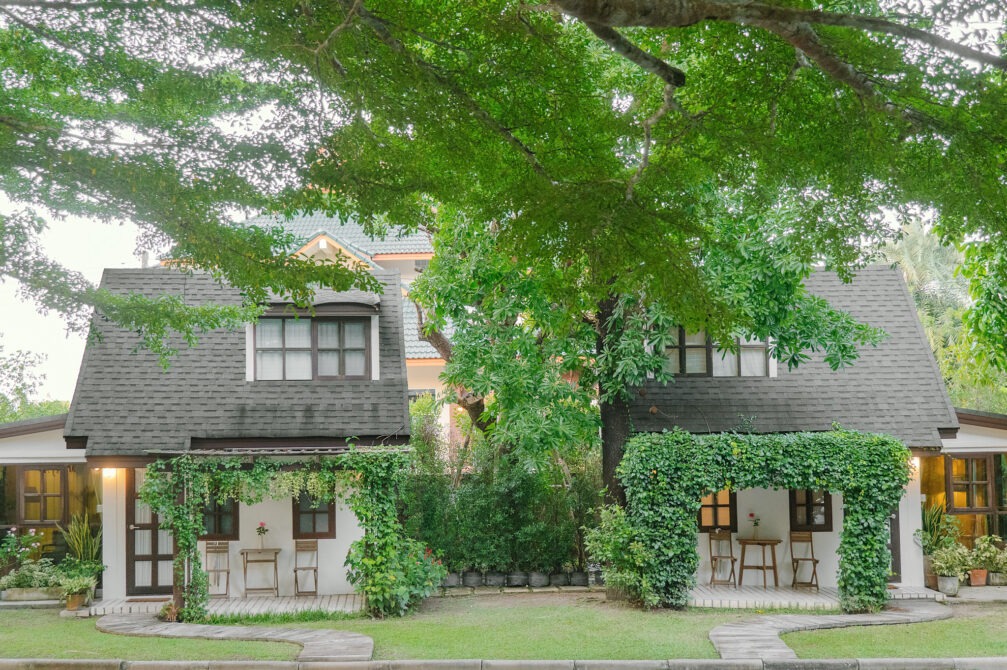 รีวิวน่าน :: Discover Nan’s charms on a 3-day journey! with DUTCHIE BIO ...