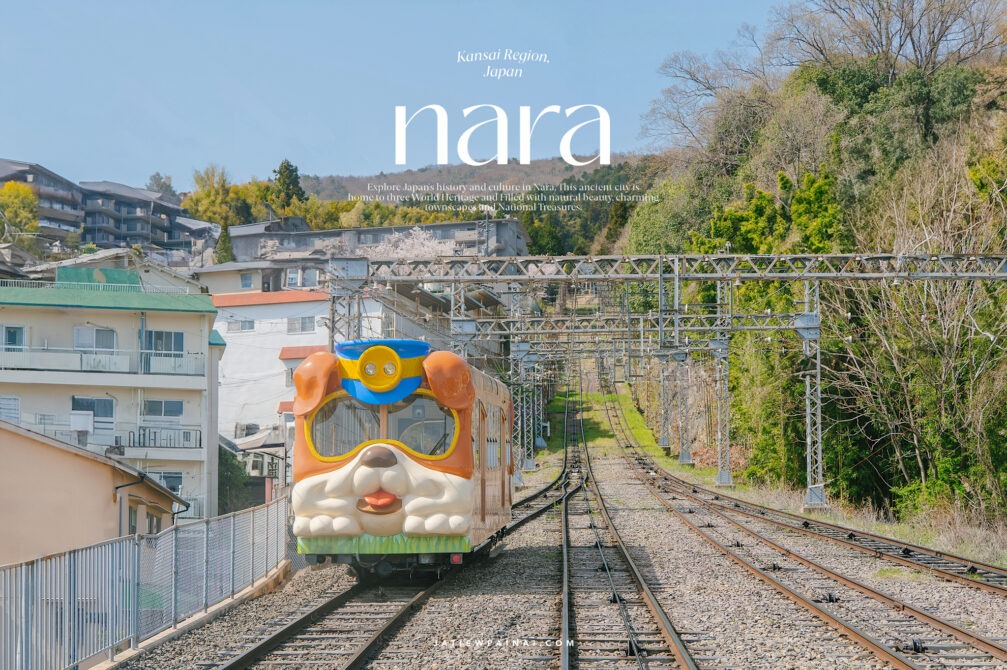 รีวิวญี่ปุ่น :: “Nara in Pink” A 2-Day Cherry Blossom Getaway You’ll ...